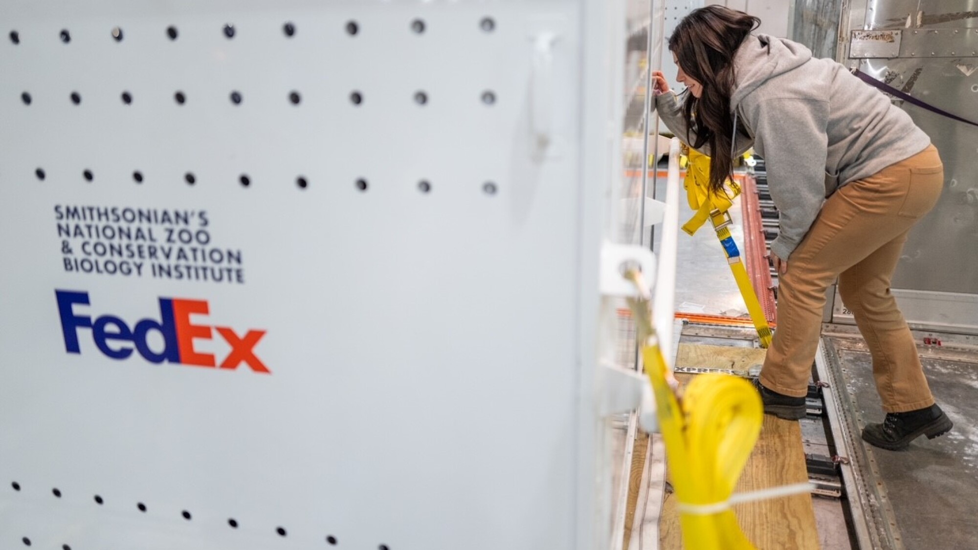 Giant Pandas Mei Xiang, Tian Tian, and Xiao Qi Ji Arrive in China on ...