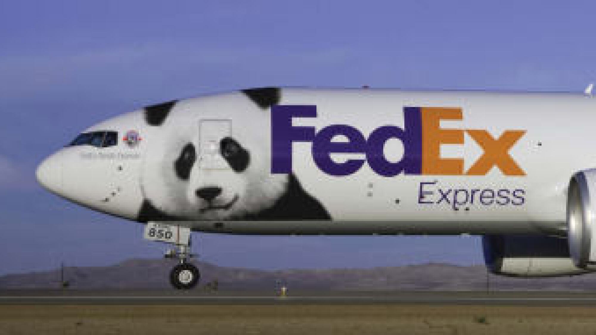 FedEx to Transport Giant Pandas from United States to China Onboard Its ...