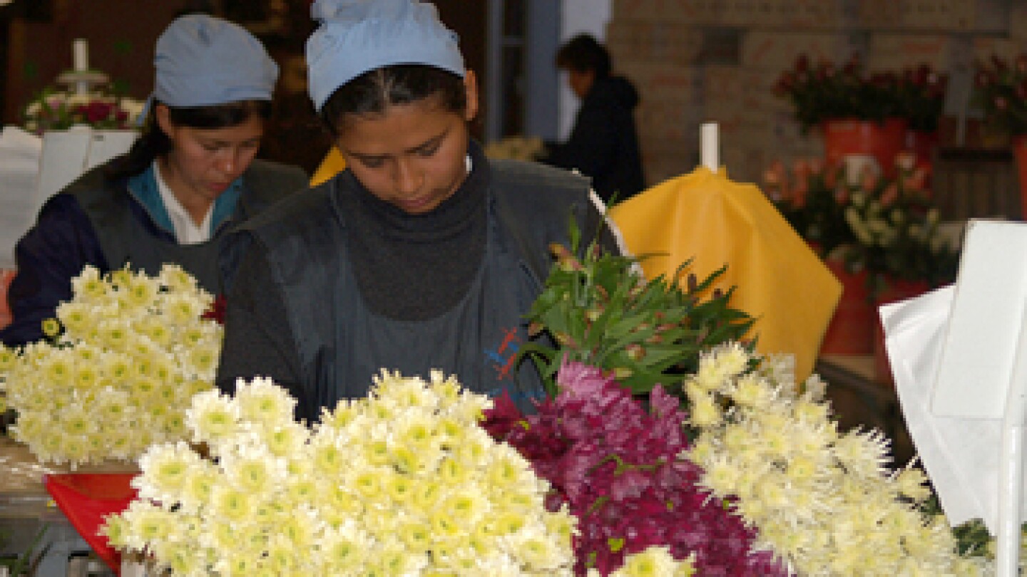 FedEx entrega una vida más larga para las flores el del día de San Valentín