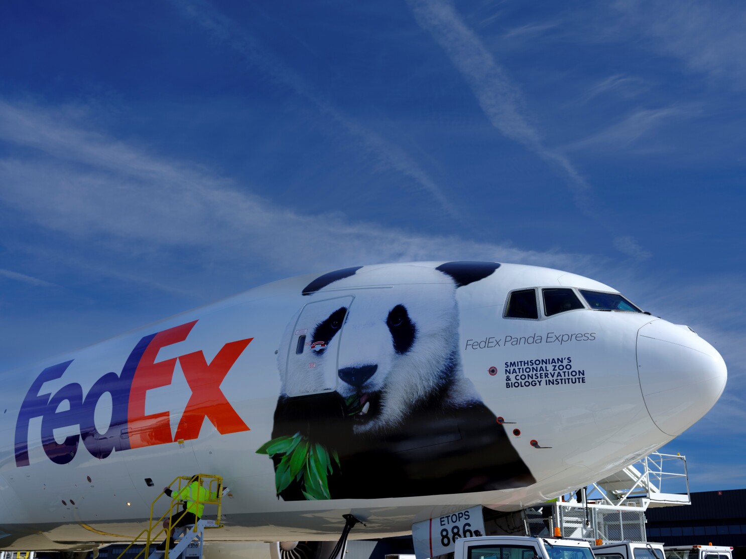 fedex panda express plane